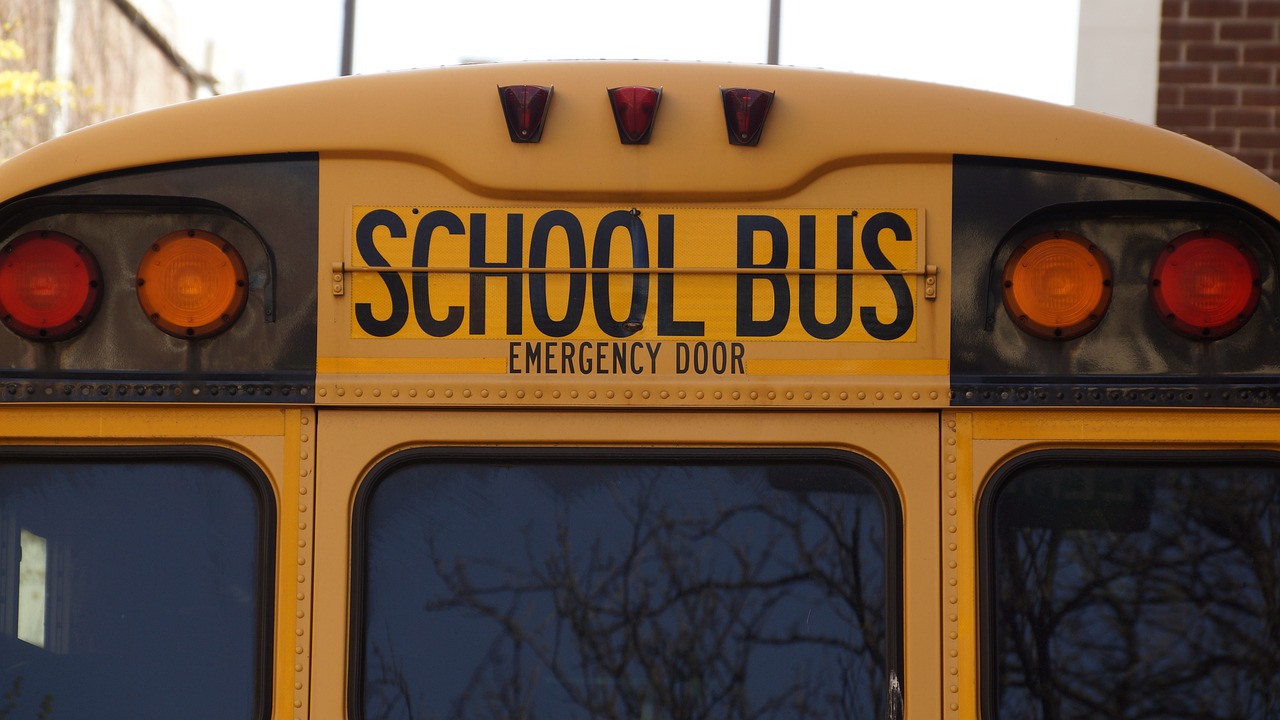 Hays CISD Tragic School Bus Collision in Texas: New Insights from ...